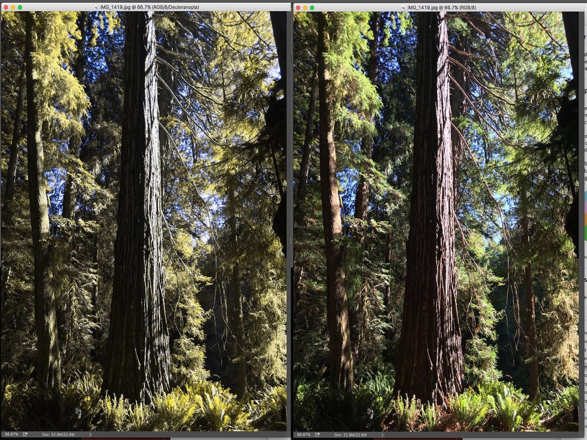 A little less color: Seeing Apple through color blind eyes | iMore