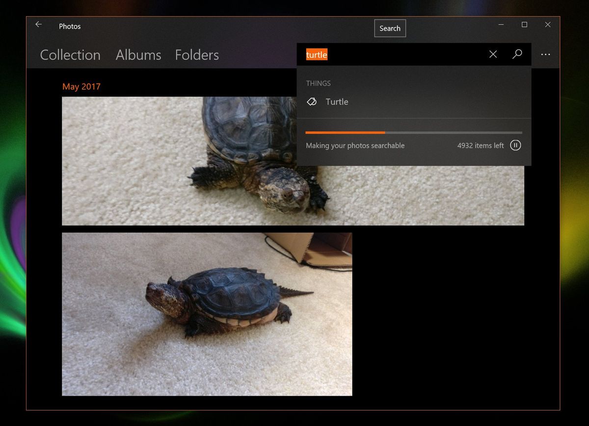 Microsoft begins soft rollout of 'intelligent' image searching in ...