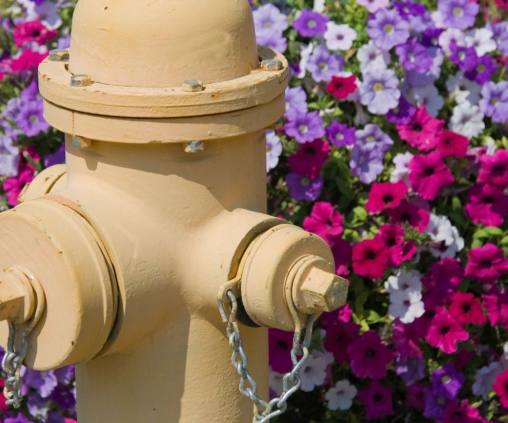 Expert Tips For Landscaping Around A Fire Hydrant | Gardening Know How