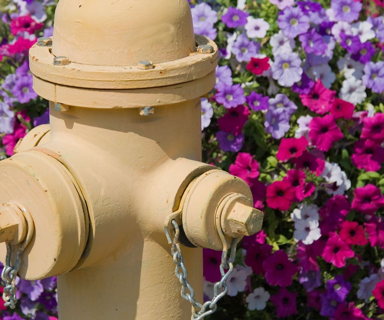 Expert Tips For Landscaping Around A Fire Hydrant | Gardening Know How