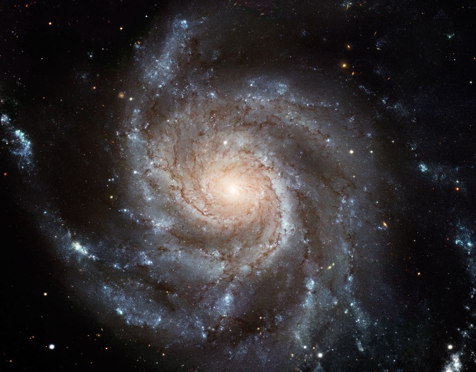 A new supernova is visible in the night sky right now | Space