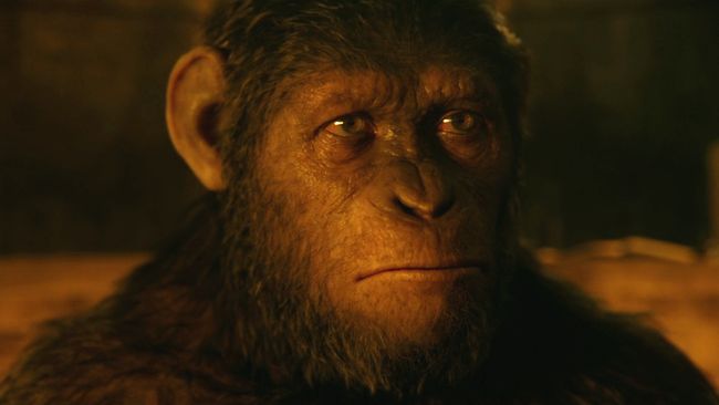 Caesar's Planet Of The Apes Timeline Explained | Cinemablend