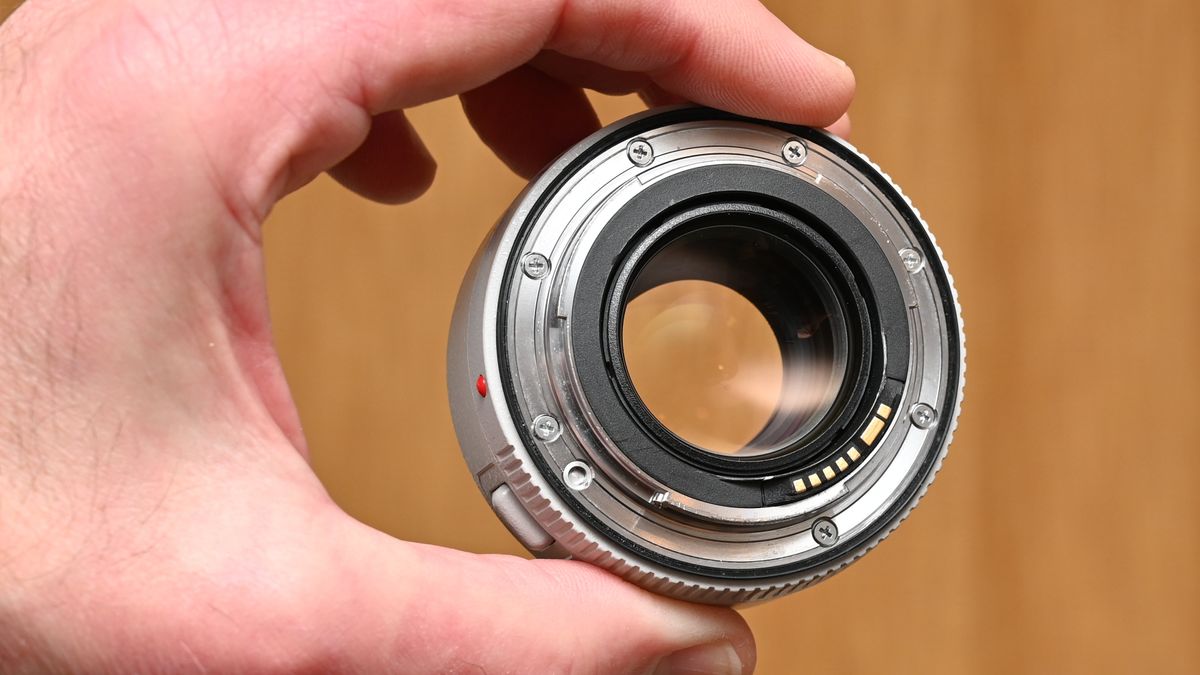 Canon Extender EF 1.4x III review: extend your telephoto reach, not ...
