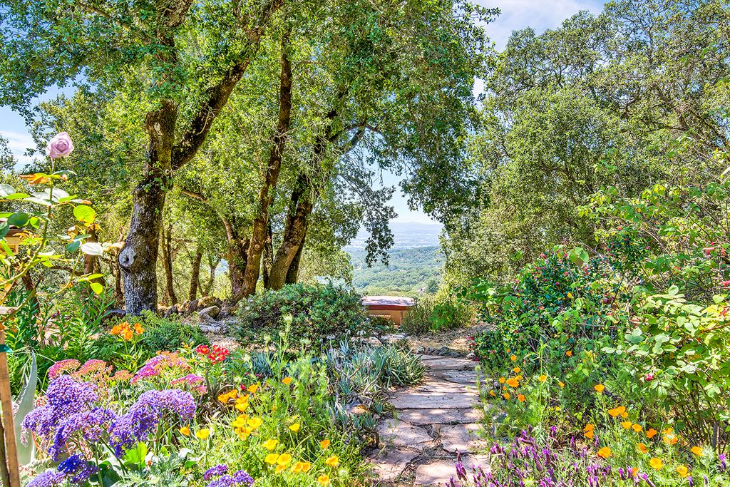 6 homes with lush gardens | The Week