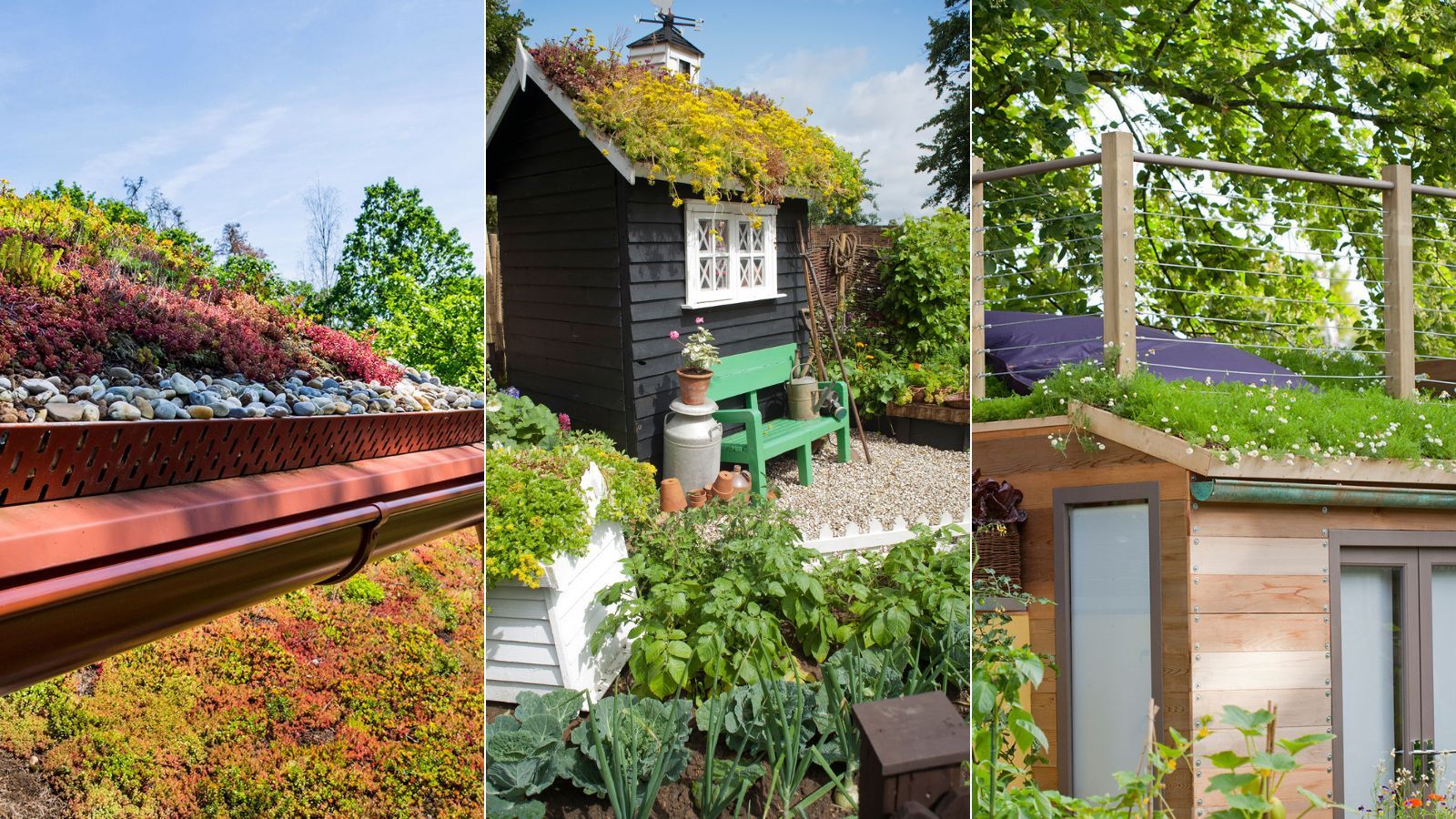 Green roofs: an expert guide to growing a living roof | Homes and Gardens