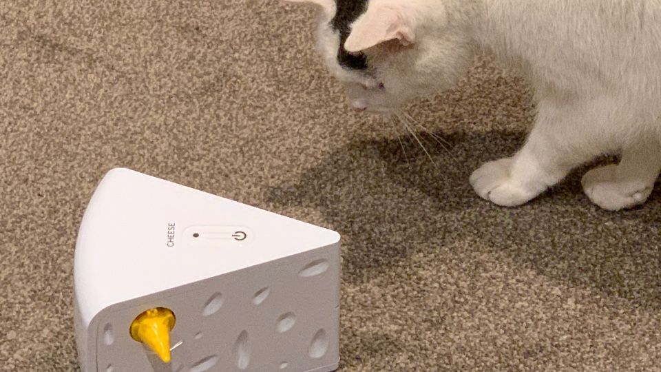 PetSafe FroliCat Cheese Automatic Cat Teaser review | PetsRadar