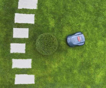 AI in gardening: How we use artificial intelligence in yards | Homes ...