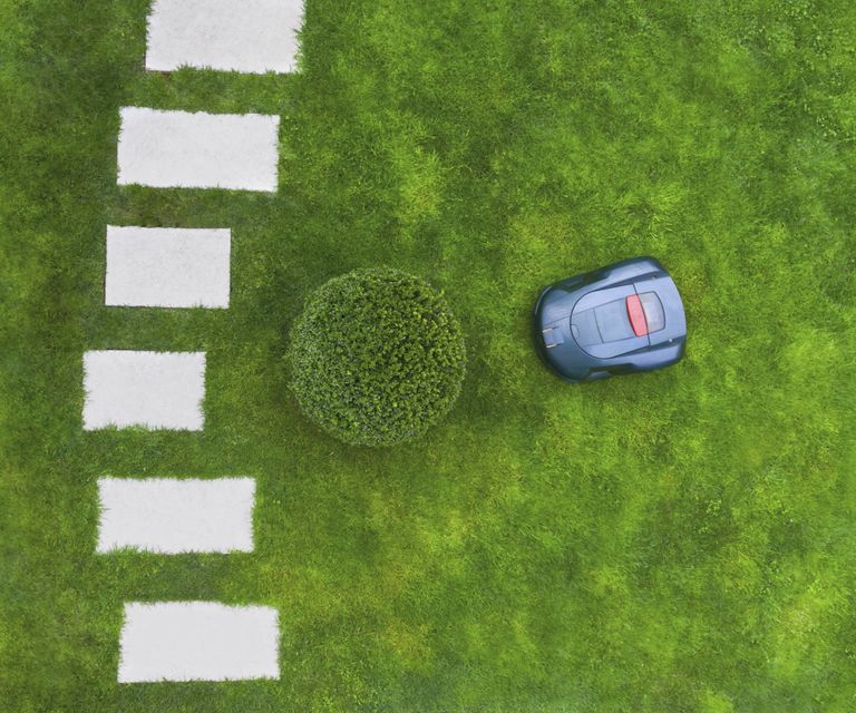 AI in gardening: How we use artificial intelligence in yards | Homes ...