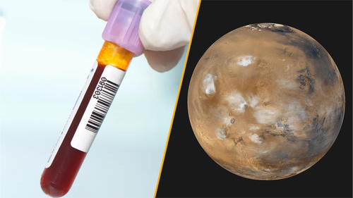 Health: News, features and articles | Live Science