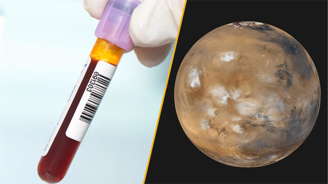Science news this week: A unique new blood type and 'spiderwebs' on ...