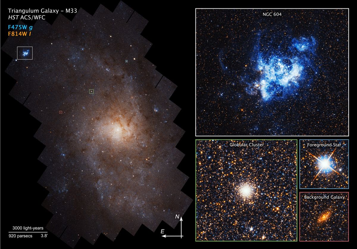 Triangulum Galaxy Reveals Stunning Stellar Symmetry in Amazing Hubble ...