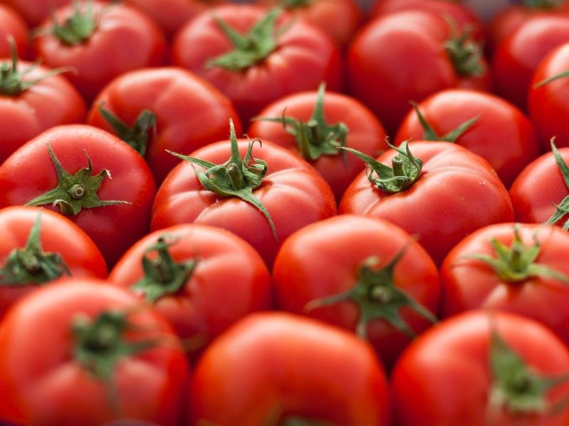 Tips & Information about Tomatoes | Gardening Know How