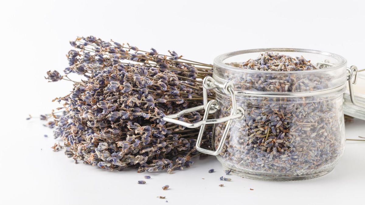 How to dry lavender and keep it smelling nice | Homes and Gardens