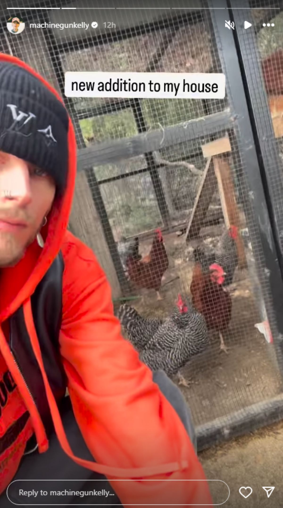 Machine Gun Kelly Announced The ‘New Addition’ To His Family (And He ...