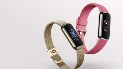 Which Fitbit should you get? | Fit&Well