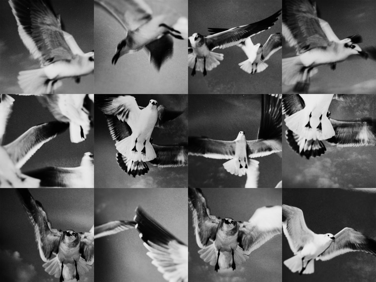 The art of seeing #21: When still images start moving | Digital Camera ...