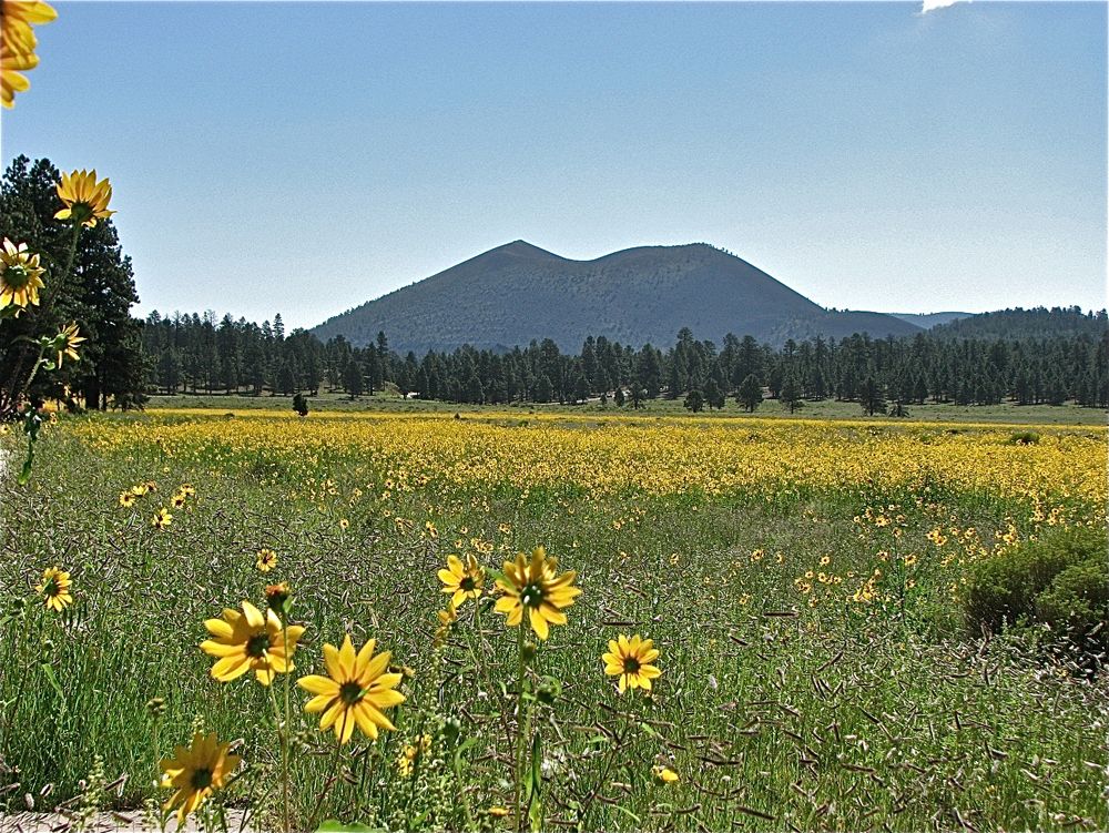 Sunset Crater: Spectacular Photos of a Cinder Cone Volcano | Live Science