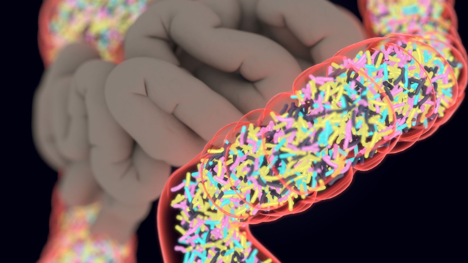 FDA approves 1st pill made from human poop | Live Science