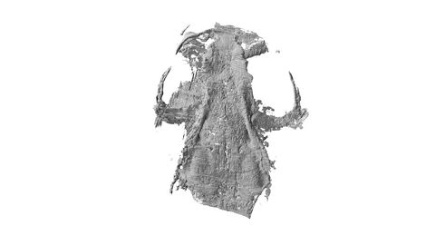 In Photos: Ancient Fish Skull From Siberia | Live Science