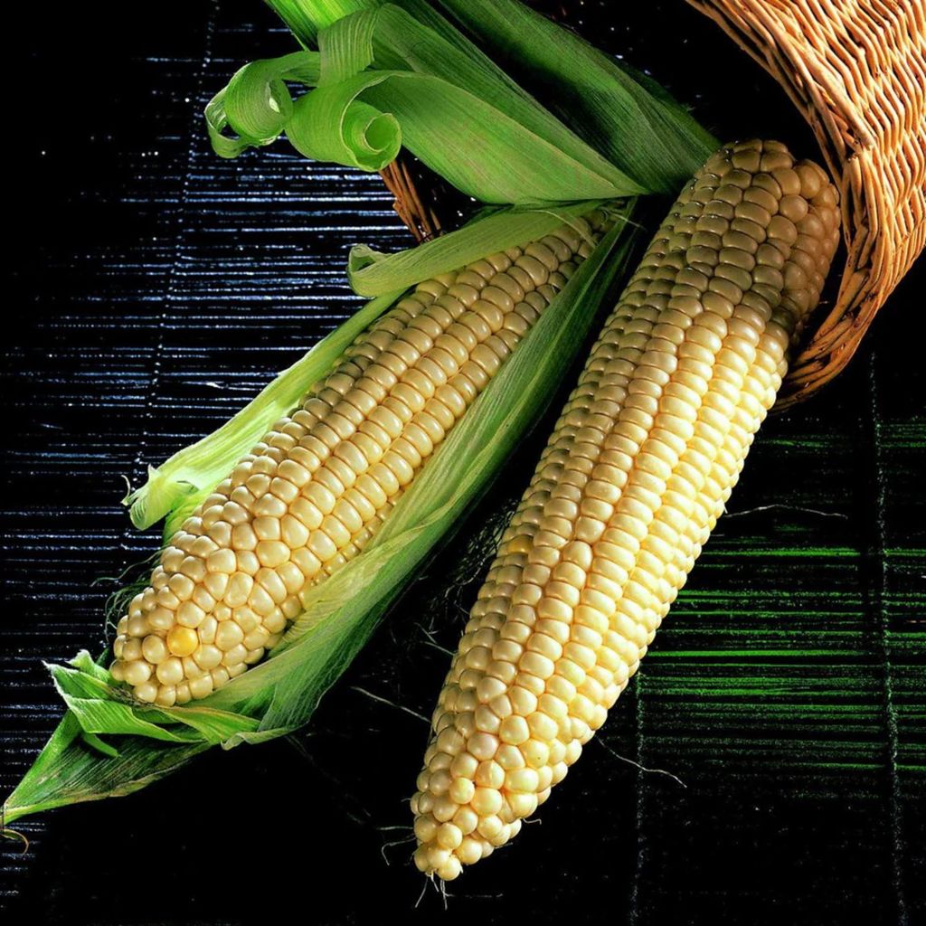 How to grow sweetcorn in your garden | Ideal Home