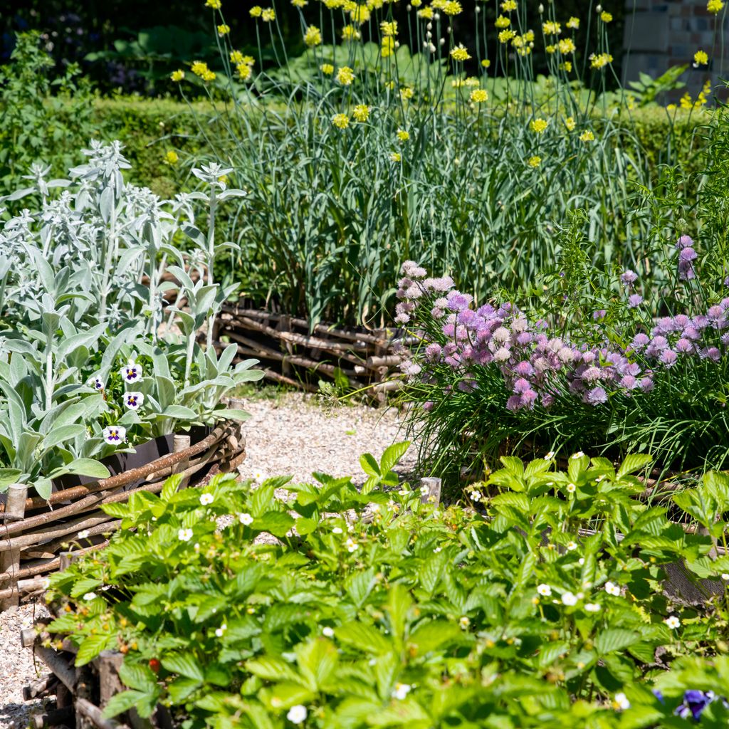 Basic Gardening Terms Every Beginner Should Know | Gardening Know How