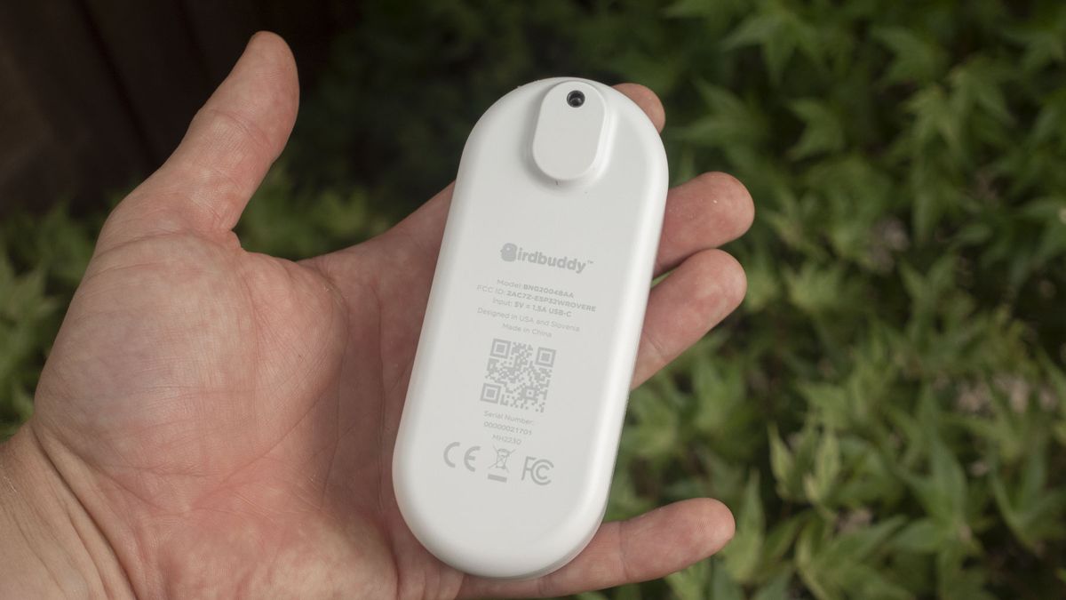 Bird Buddy Smart Bird feeder review | TechRadar