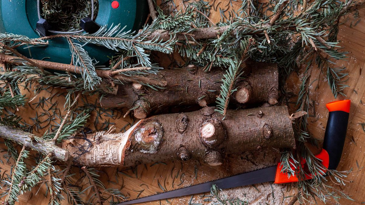 7 clever ways to reuse your real Christmas tree after the holidays ...