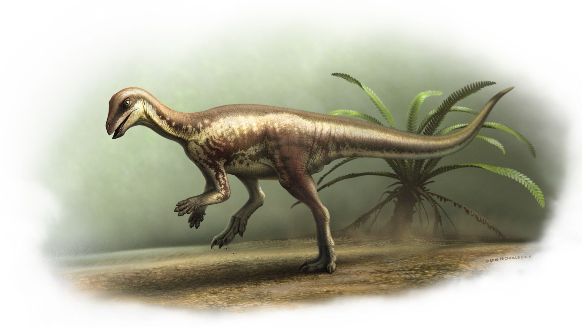 Mysterious 'runner' dinosaur a sign there are more Jurassic secrets to ...