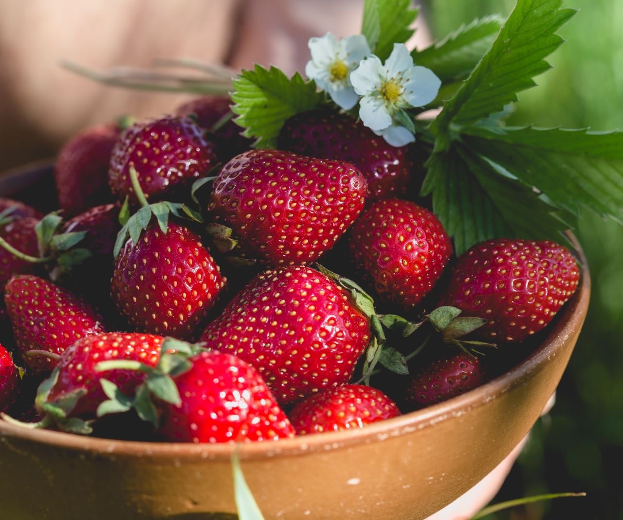 Problems with strawberries: expert tips for common issues | Homes and ...