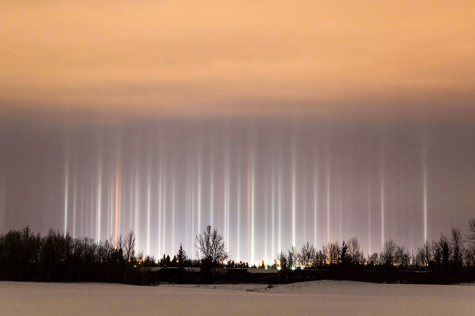 10 Times Science Proved the World Is Amazing in 2017 | Live Science