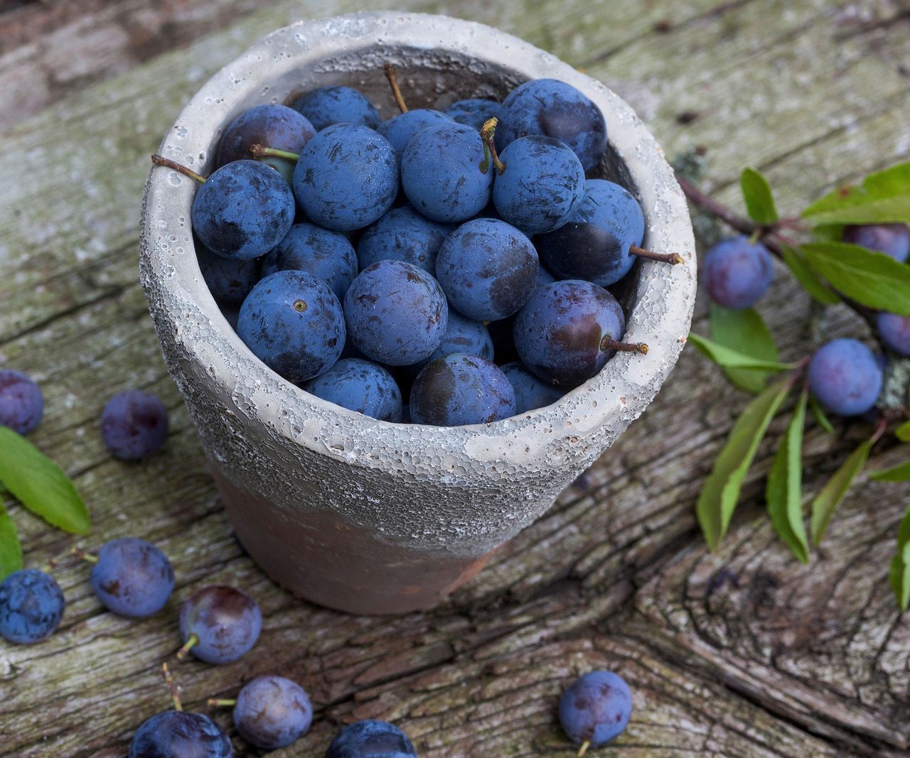 What To Do With Old Plant Pots: Great Ways To Reuse Pots | Gardening ...