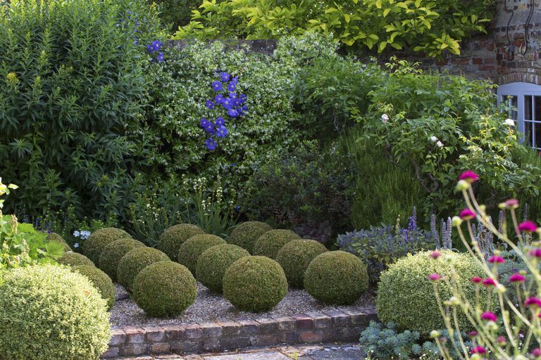 Real garden: explore this cottage garden with its colourful planting ...
