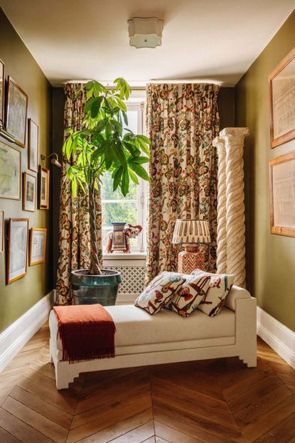 The best indoor trees to bring style to every room | Livingetc