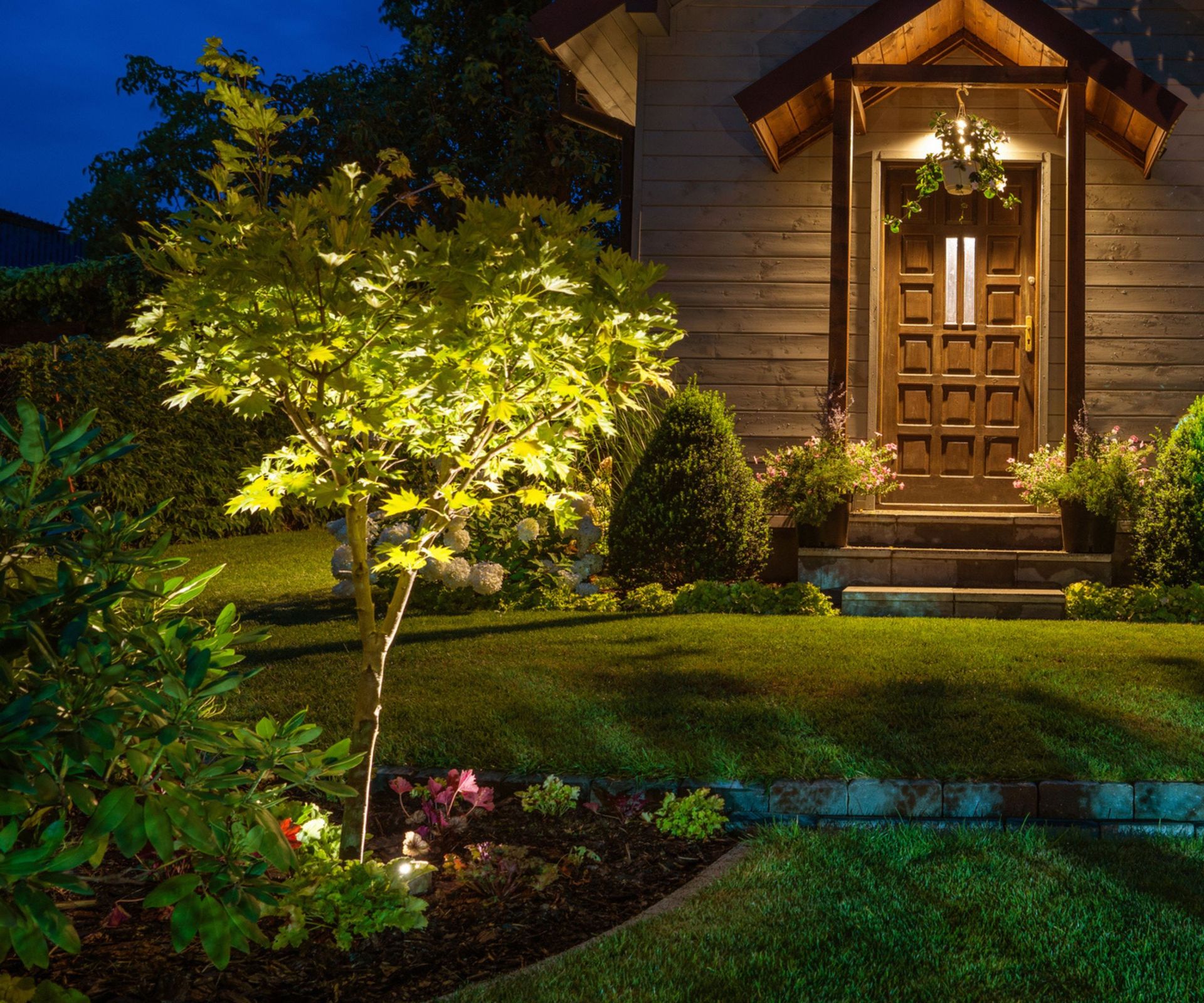 How to uplight a tree – expert methods | Homes and Gardens