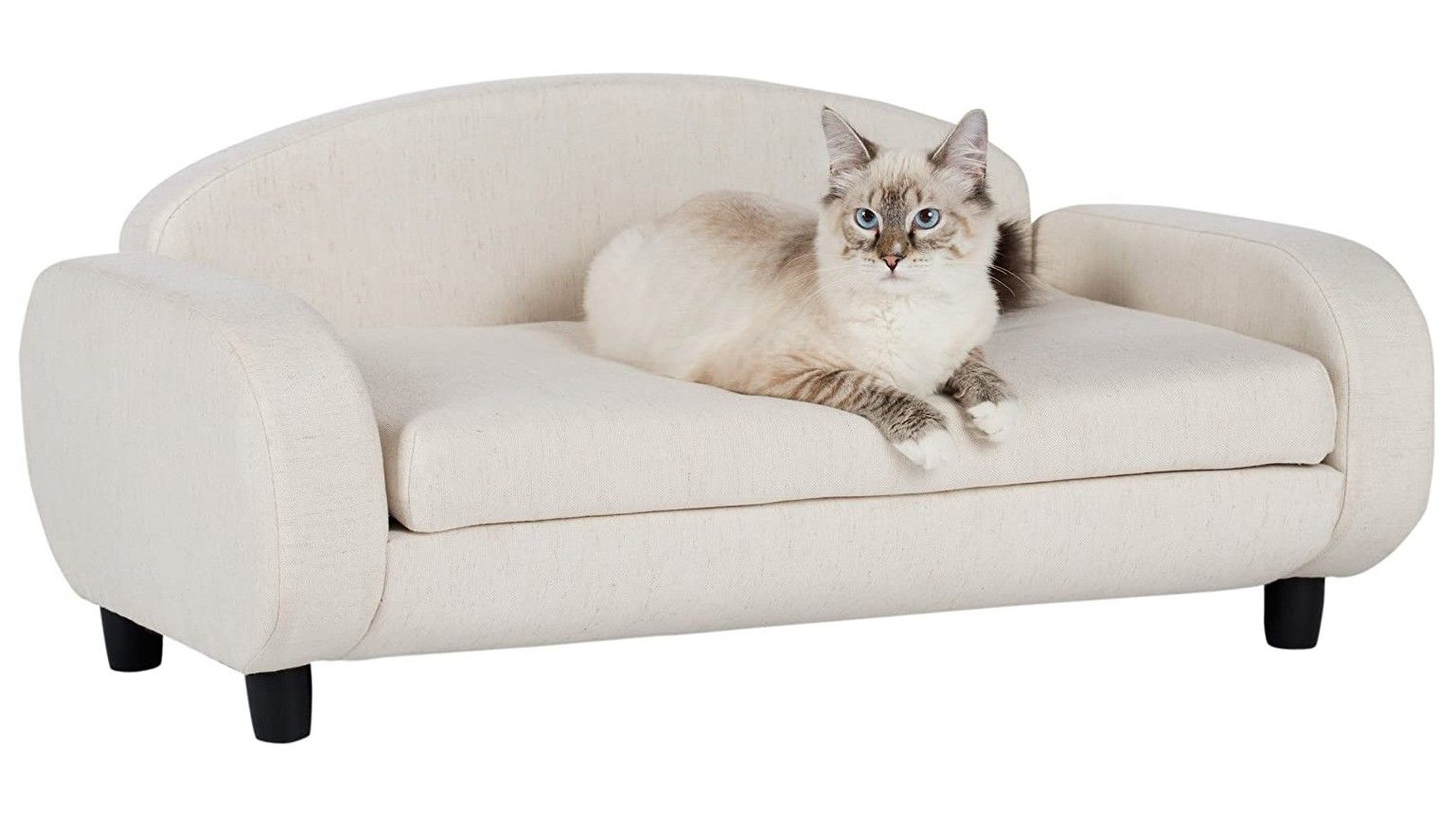 Best cat sofa: Places for your kitty to sit pretty | PetsRadar
