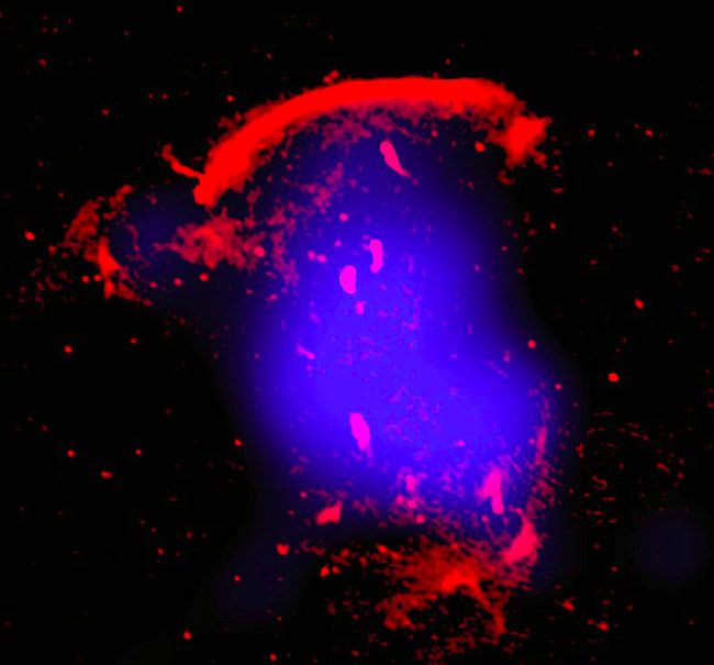 Galaxy Cluster Collisions Energize Cosmic Rays | Space