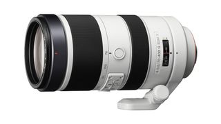 The best 100-400mm lenses in 2022 | Digital Camera World
