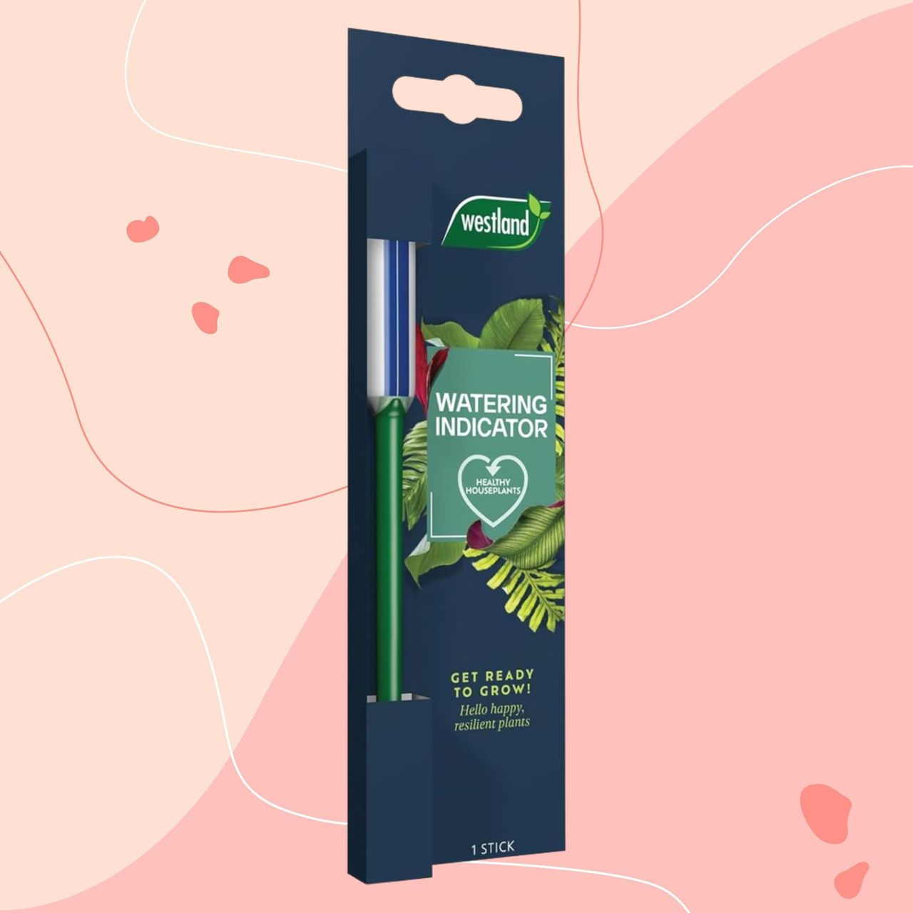 Best plants for condensation and damp – 7 easy-care options | Ideal Home