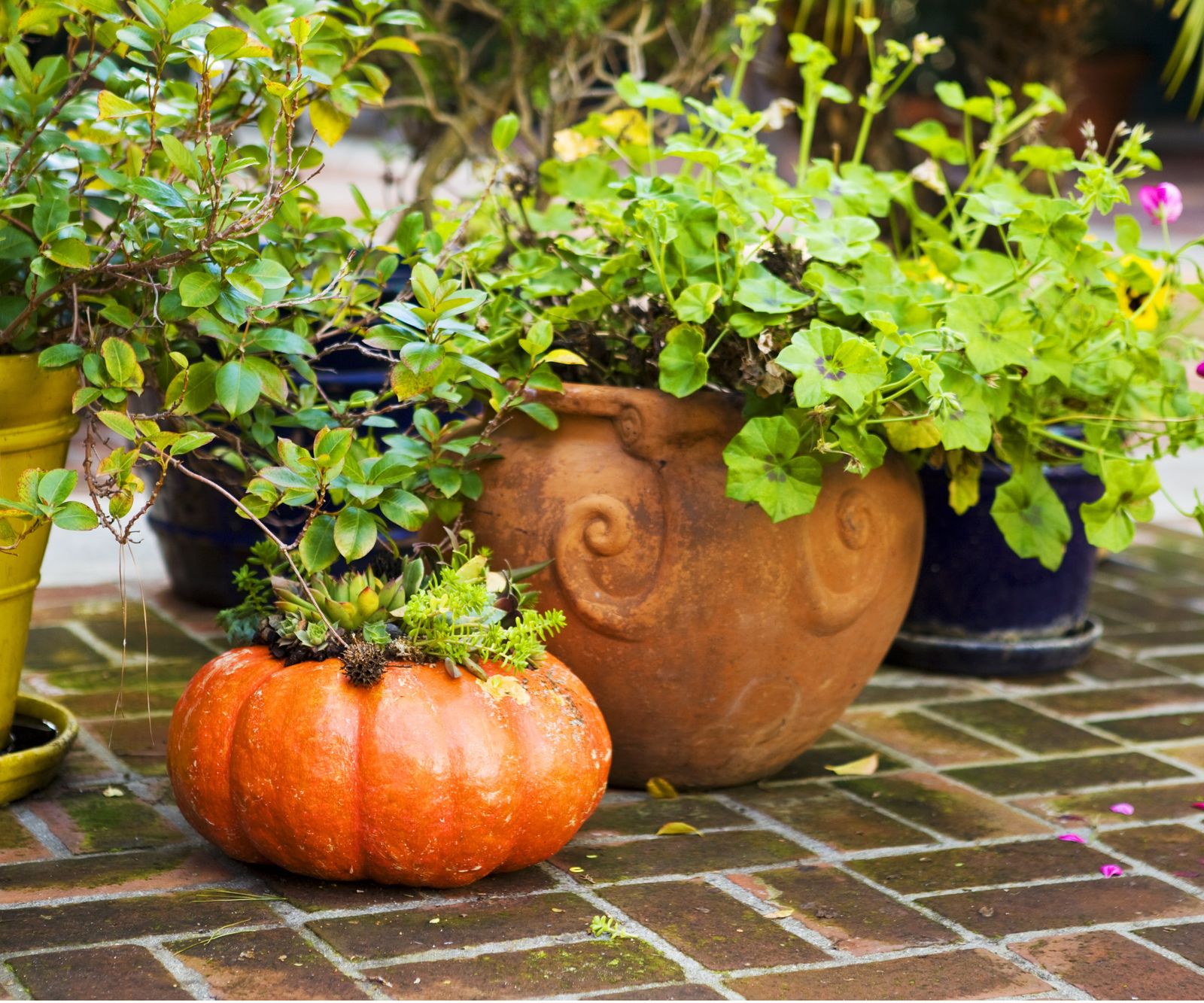 Fall planter ideas: 15 looks for stylish seasonal containers | Homes ...