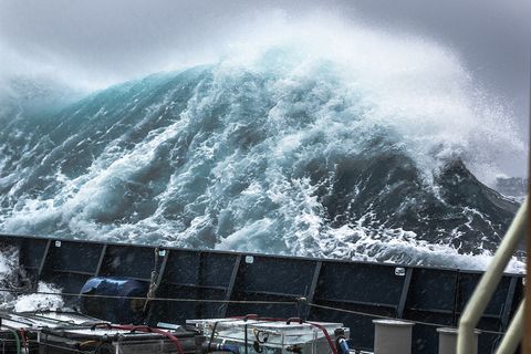 Water Art: Phytoplankton Bloom Turns Ocean into a Masterpiece | Live ...