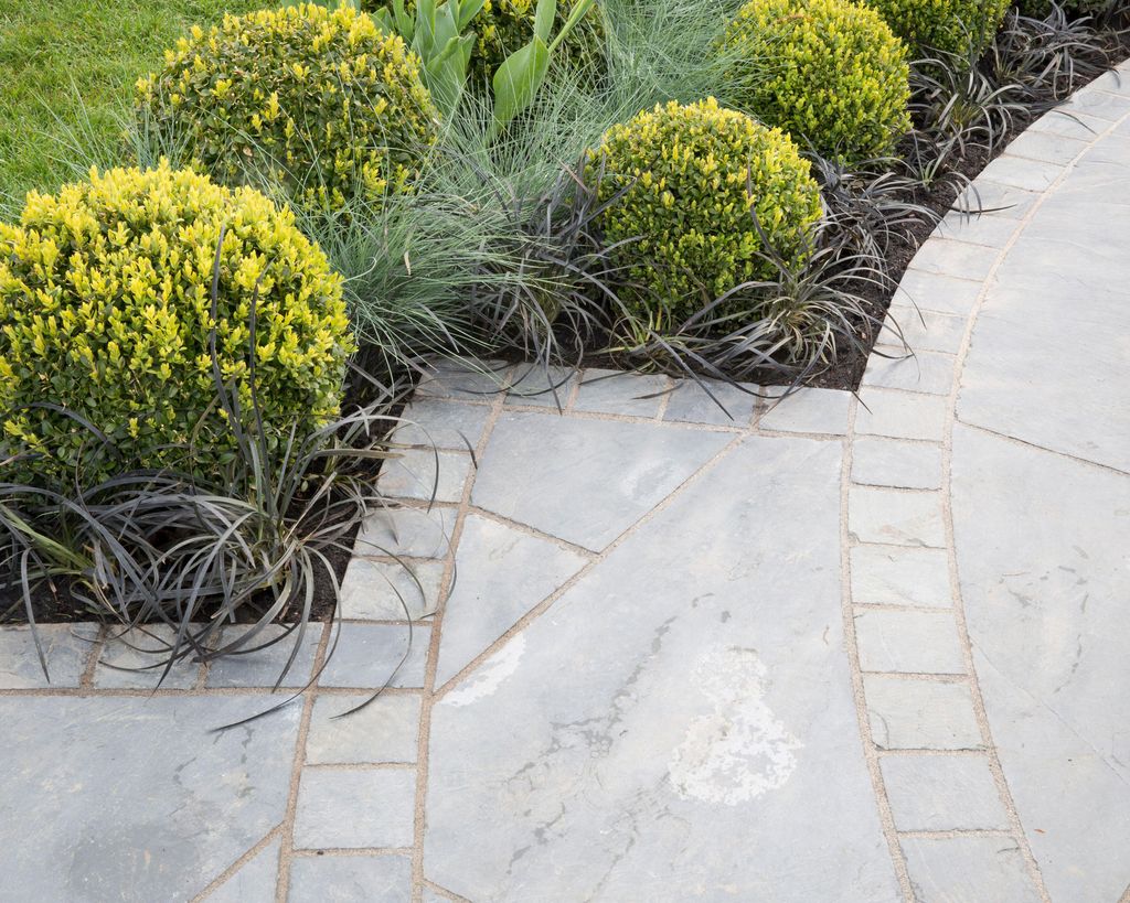 Landscaping with evergreens: 12 ways to make an impact | Gardeningetc