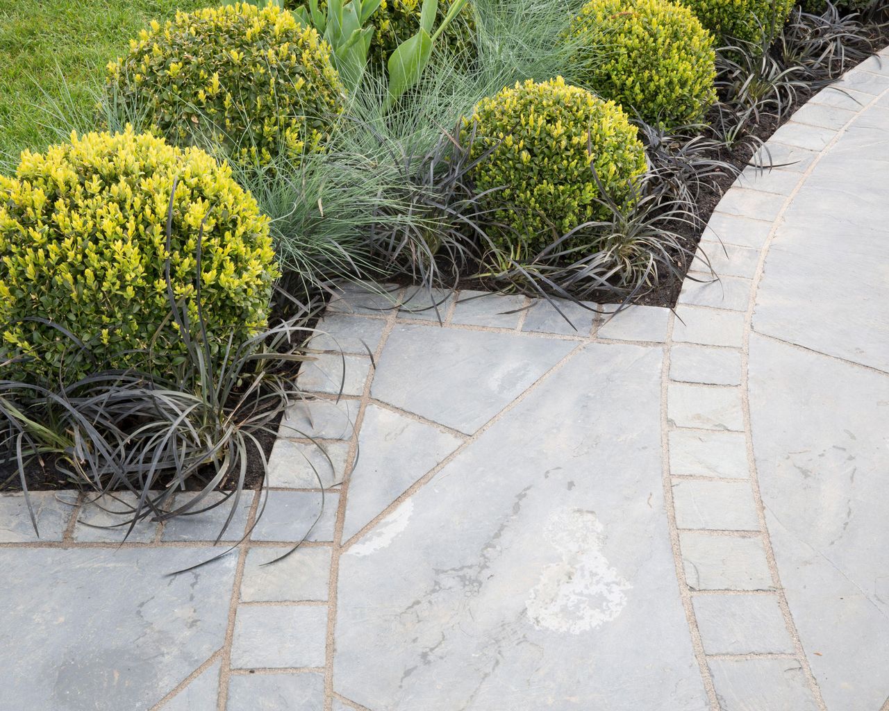 Landscaping with evergreens: 12 ways to make an impact | Gardeningetc