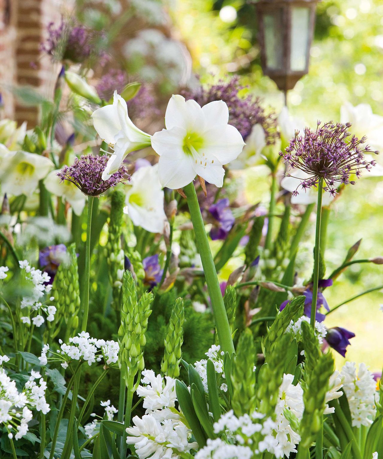 Bulb lasagne ideas and combinations to try: 10 looks for eye-catching ...