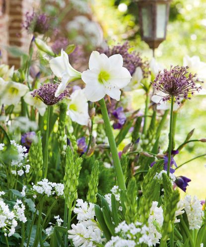 Bulb lasagne ideas and combinations to try: 10 looks for eye-catching ...