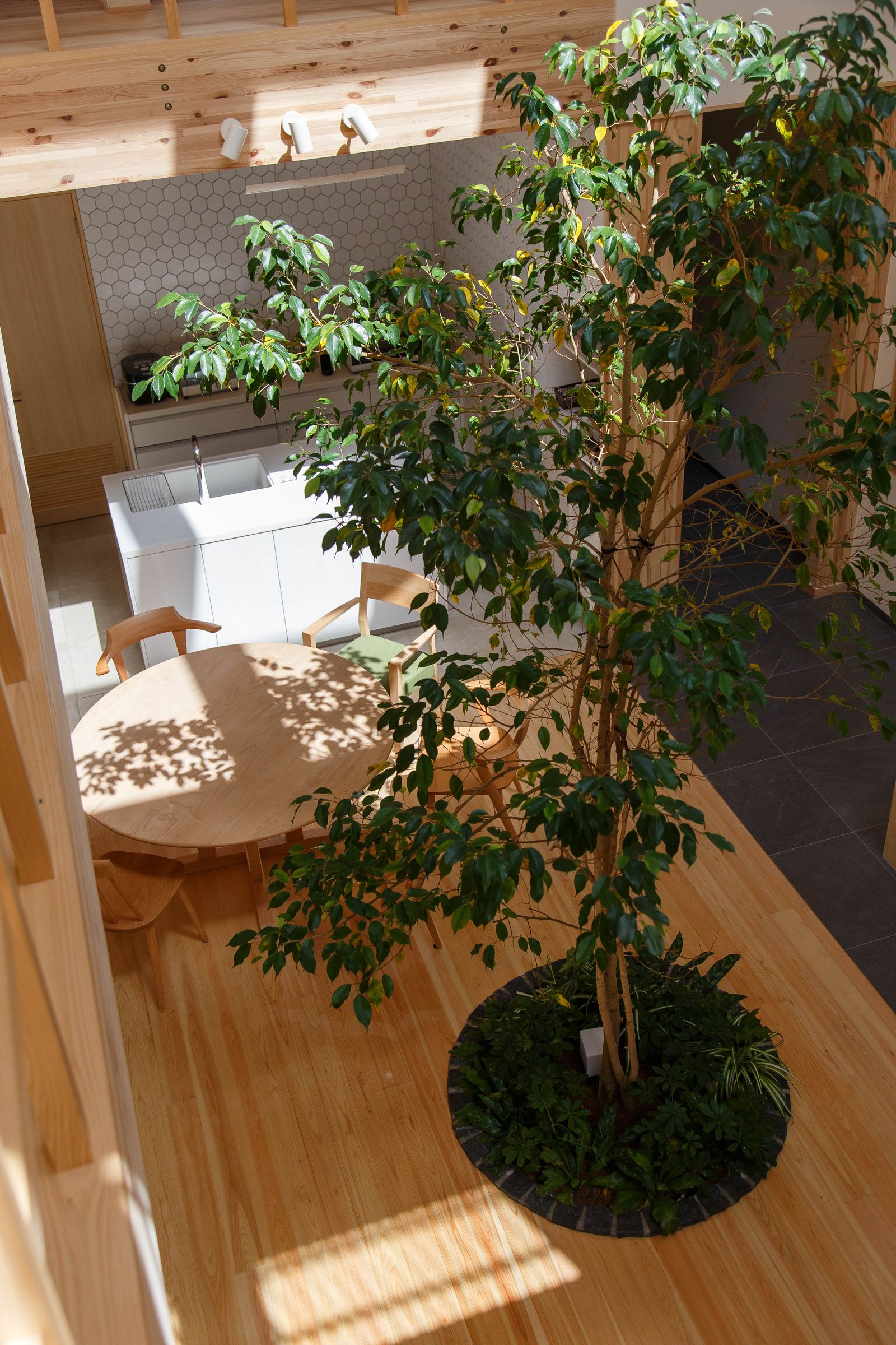 This Kyoto home has an indoor tree at its center and not a door in ...