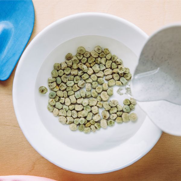 Tips & Information about Seeds | Gardening Know How