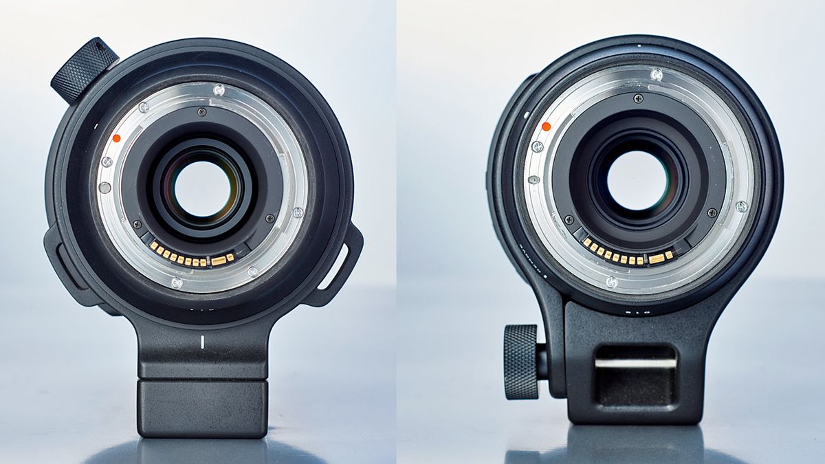 Sigma 150-600 Contemporary vs Sports: let us explain the differences ...