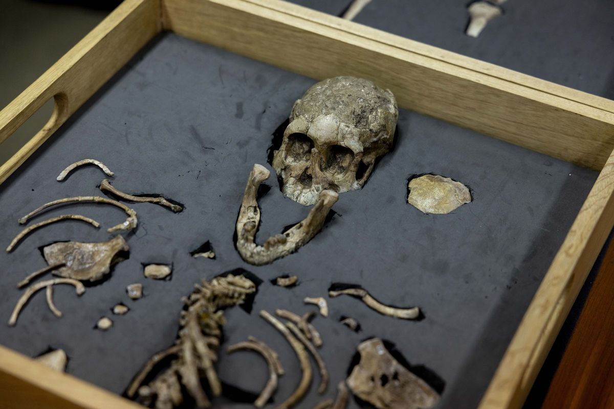 Science history: Iconic 'Lucy' fossil discovered, transforming our ...