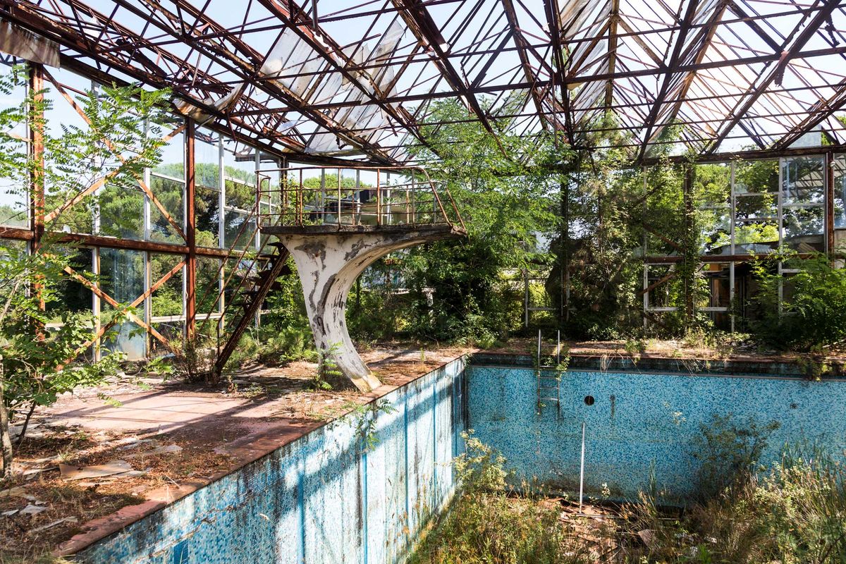Haunting photos of dead flamingos win Environmental Photographer of the ...
