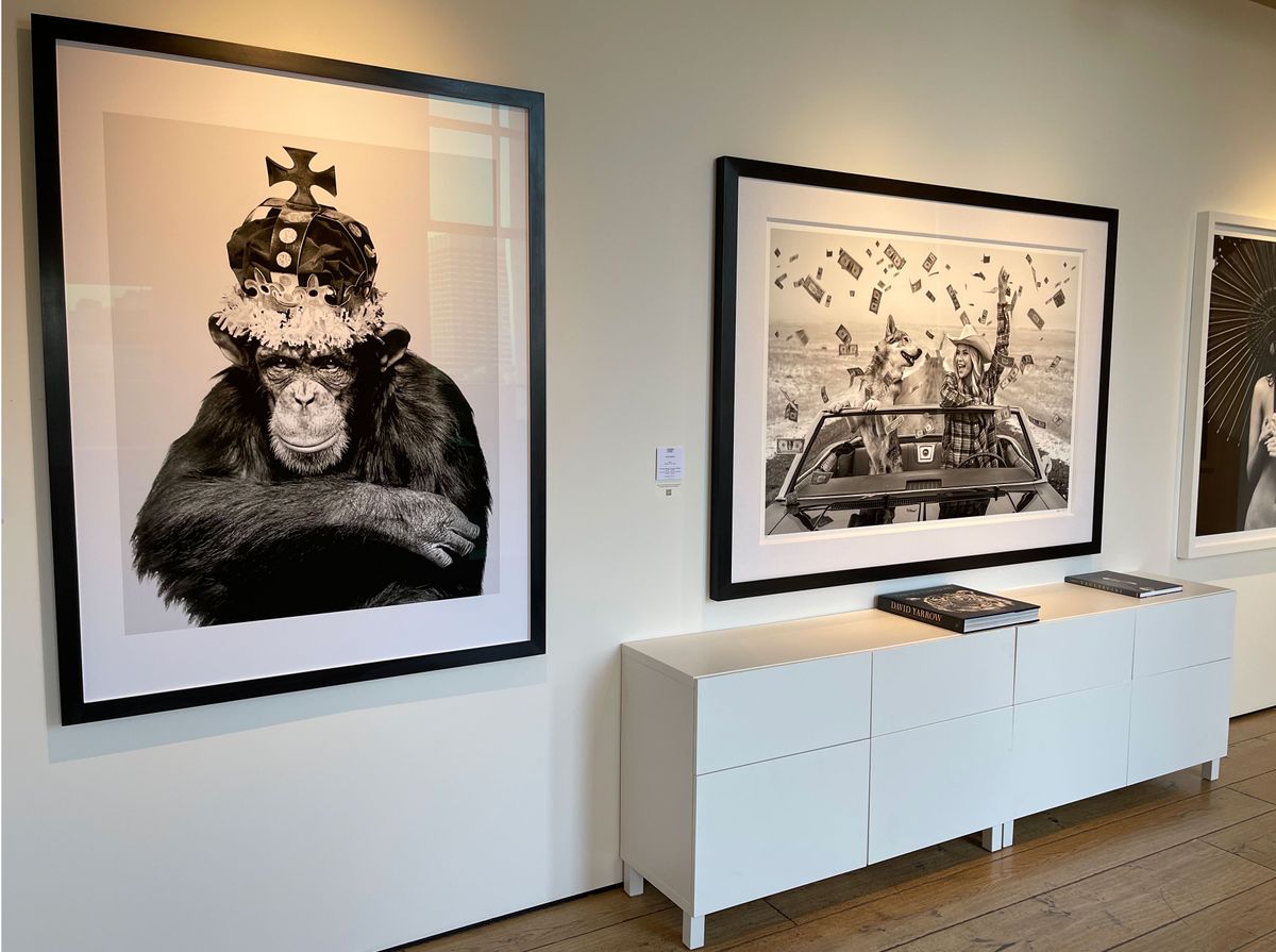 Photo London is now open – here are 5 things to see during your visit ...